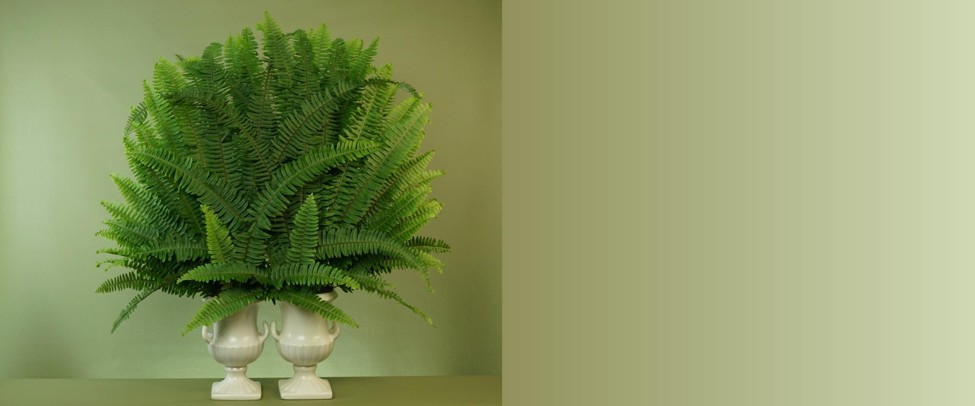 Flower Thinking | Mark Pampling Floral Design | Interactive Workshops ...