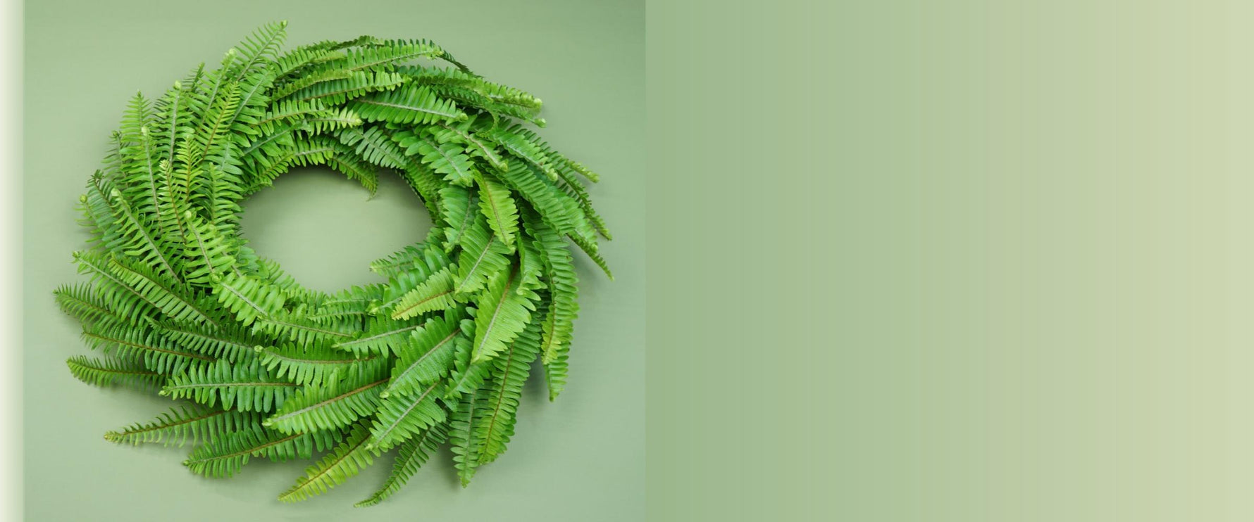 Flower Thinking | Mark Pampling Floral Design | Interactive Workshops ...