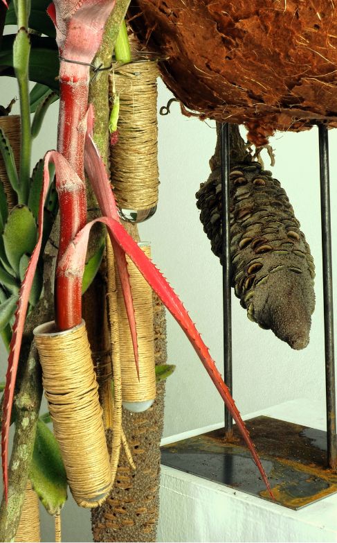 Displacement Gallery – { Flower Thinking }