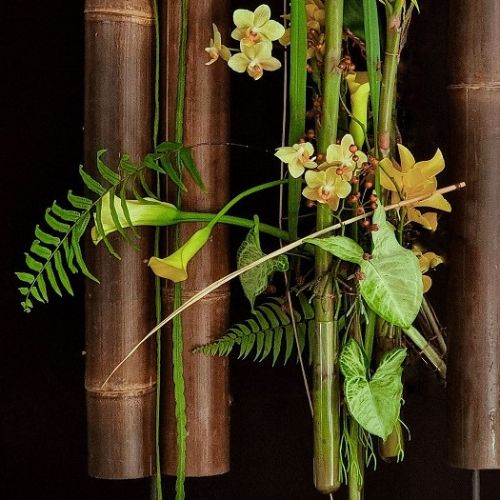 The Flower Thinking Galleries – { Flower Thinking }