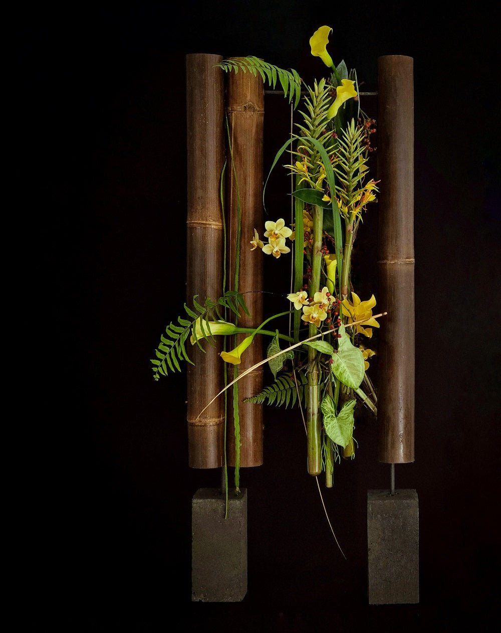 Gallery - Duc Thuan Bui – { Flower Thinking }